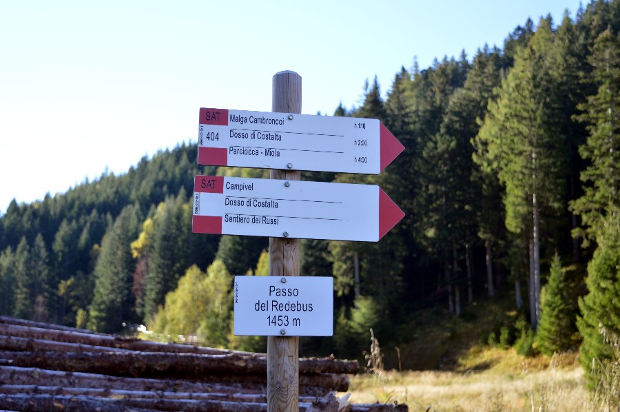 Escursione al Dosso di Costalta da Passo Redebus - Altopiano di Pinè ...