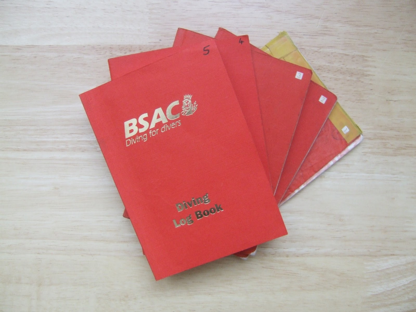 Tony's TivSAC Diving BLog Book: The Importance of Log Books