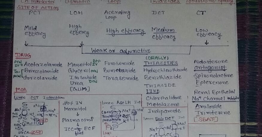 Medicowesome: Diuretics and antidiuretics notes