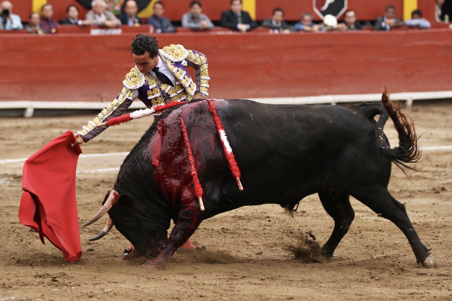 PERÚ TOROS: ACHO, FALLAN LOS TOROS Y LOS TOREROS SE VAN DE VACÍO
