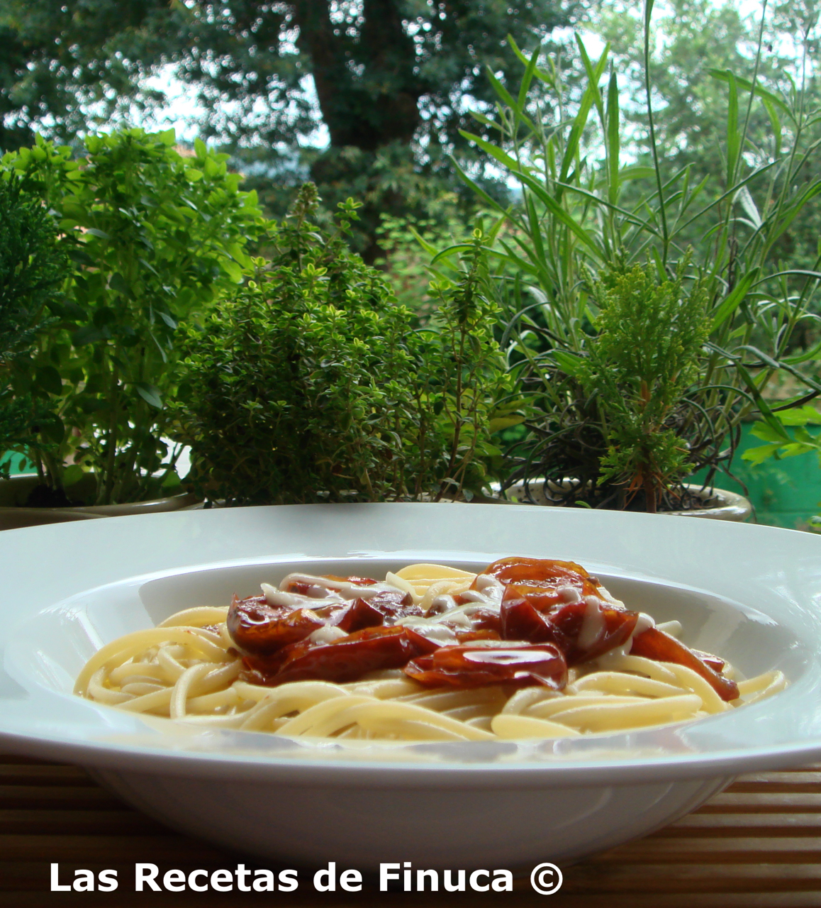 Las Recetas de Finuca: Espaguetis con tomates deshidratados. Para ...