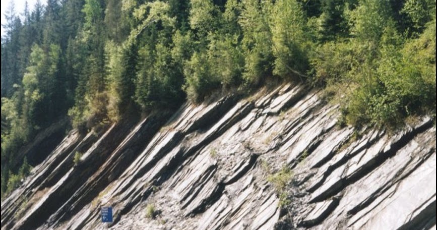 Foliasi ~ NeededThing