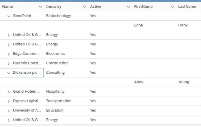 Lightning Tree Grid With Filter In Lwc In Salesforce Infallibletechie