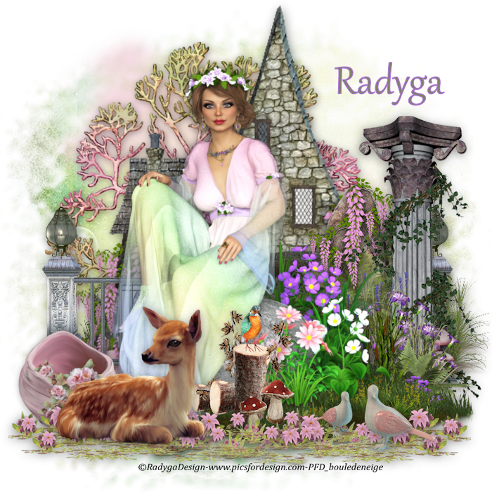 BOULEDENEIGE ET SES CT: CT RADYGA