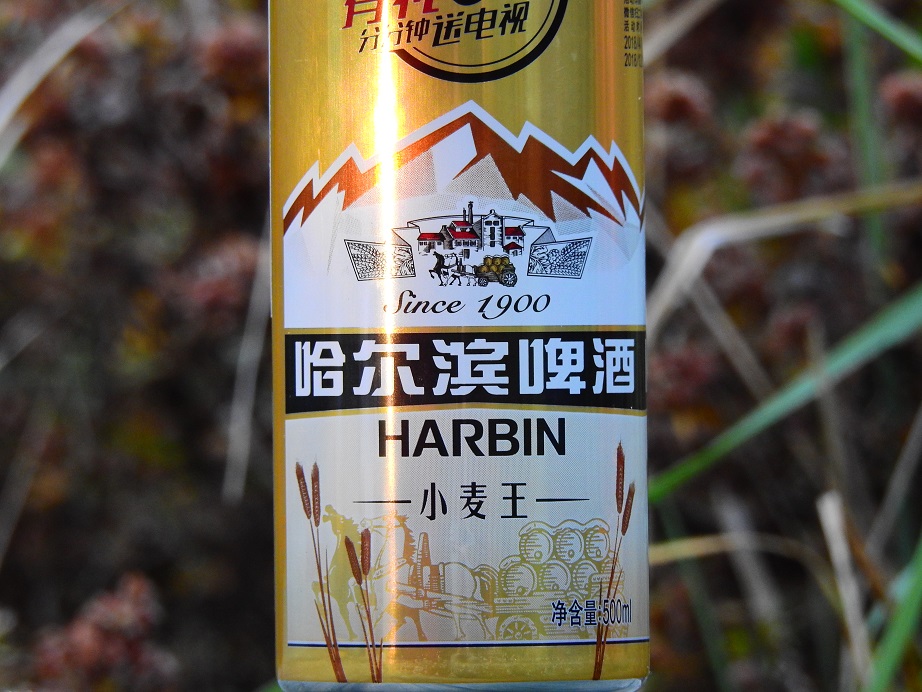 Soapbox photos: Can of Harbin China beer in garden