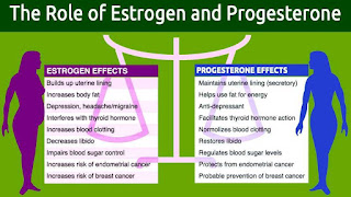 Progesterone (medication)