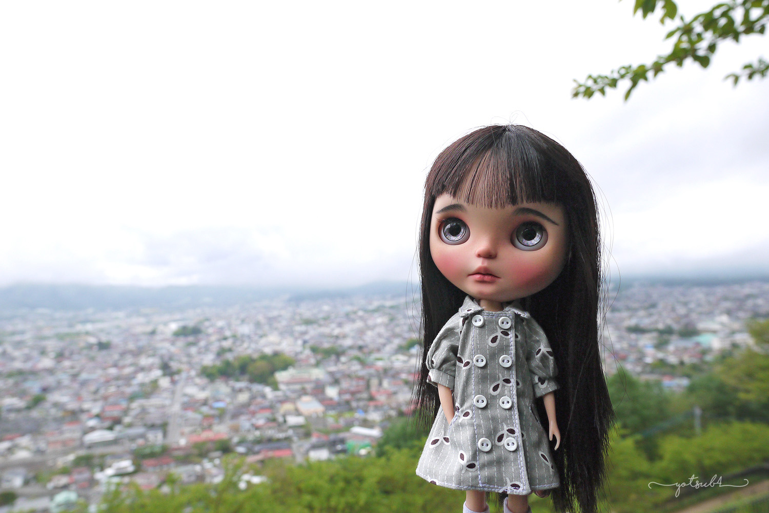 Japan with Cleo #9/10 (Part 3) - Fuji Five Lakes, revisited: Chureito ...