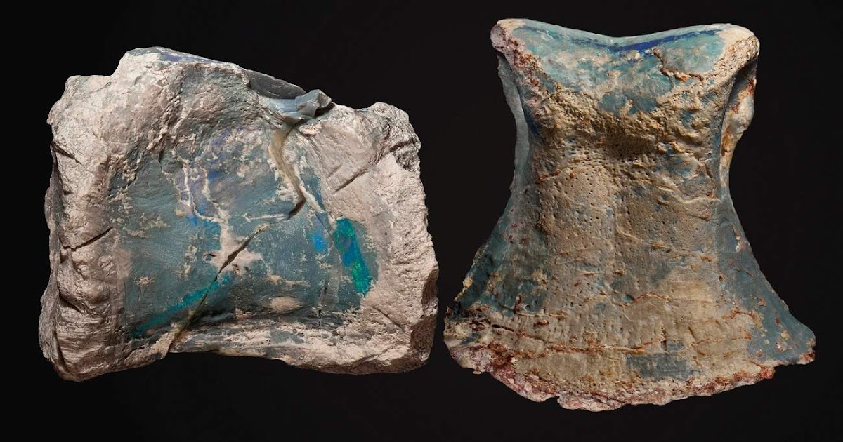 Iridescent Bones of a Lost Dinosaur Herd Discovered in an Opal Mine