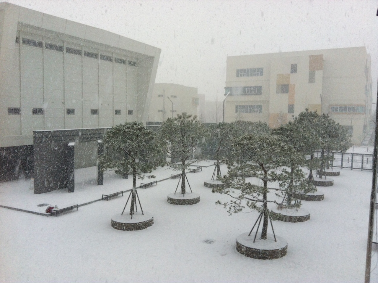 Doublecross in Daegu: Winter in Daegu