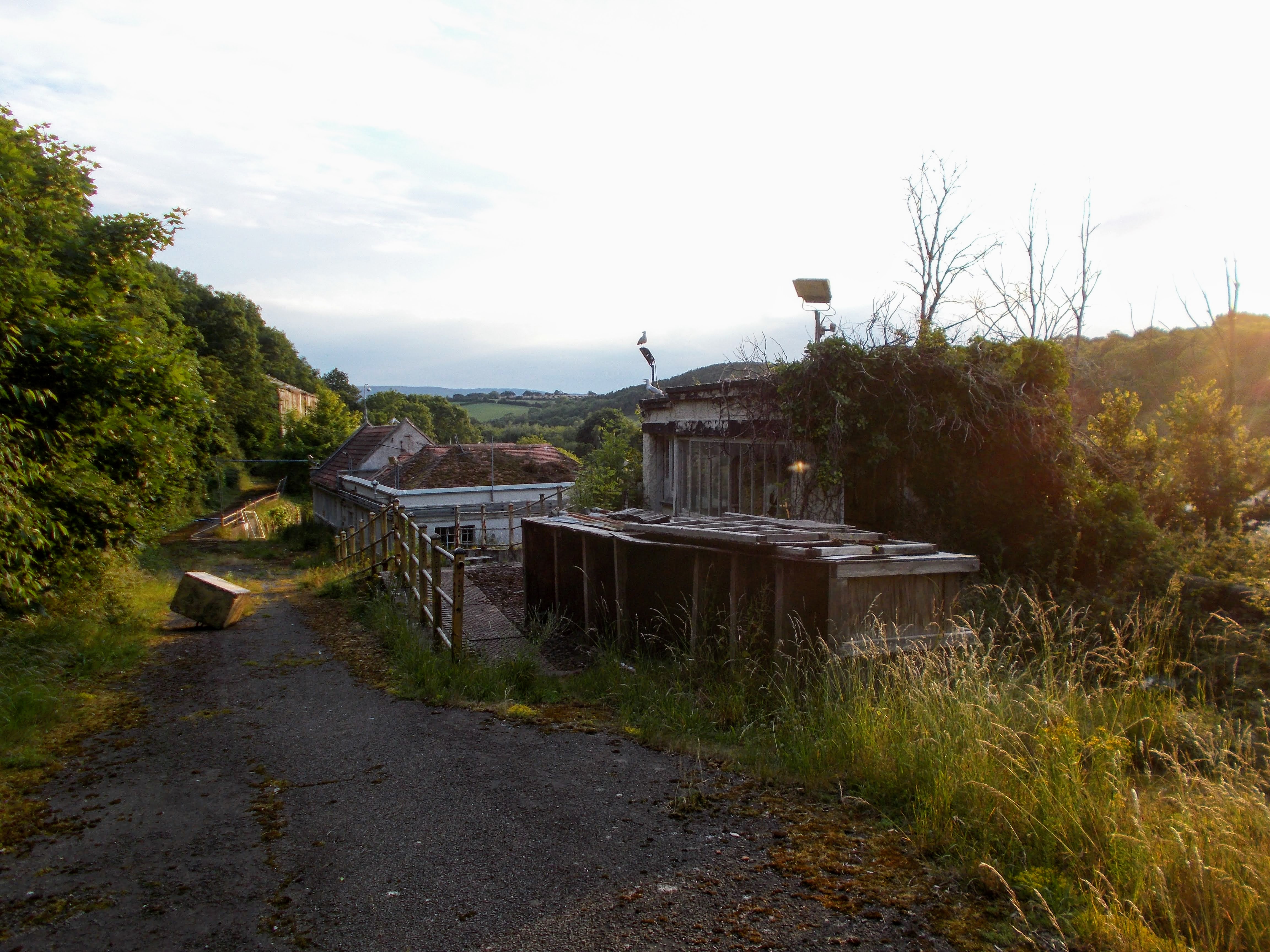 Off the Beaten Track in Somerset: RIP Chimney, Wansbrough Paper Mill ...