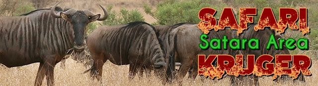 Safari por libre en Kruger: De Satara a Orpen Gate