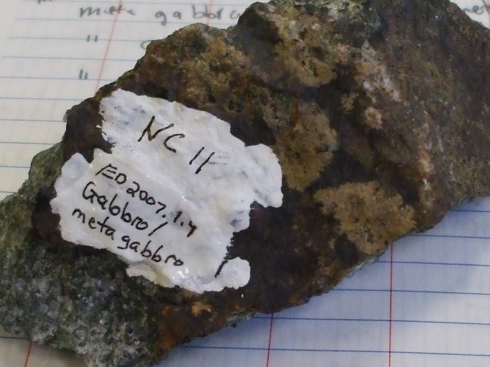 Eggs Come From The Store?: Exotic Carolina Terrane