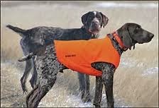 Adventures of a GSP Hunting Dog: Seriously Awesome Holiday Gifts for ...