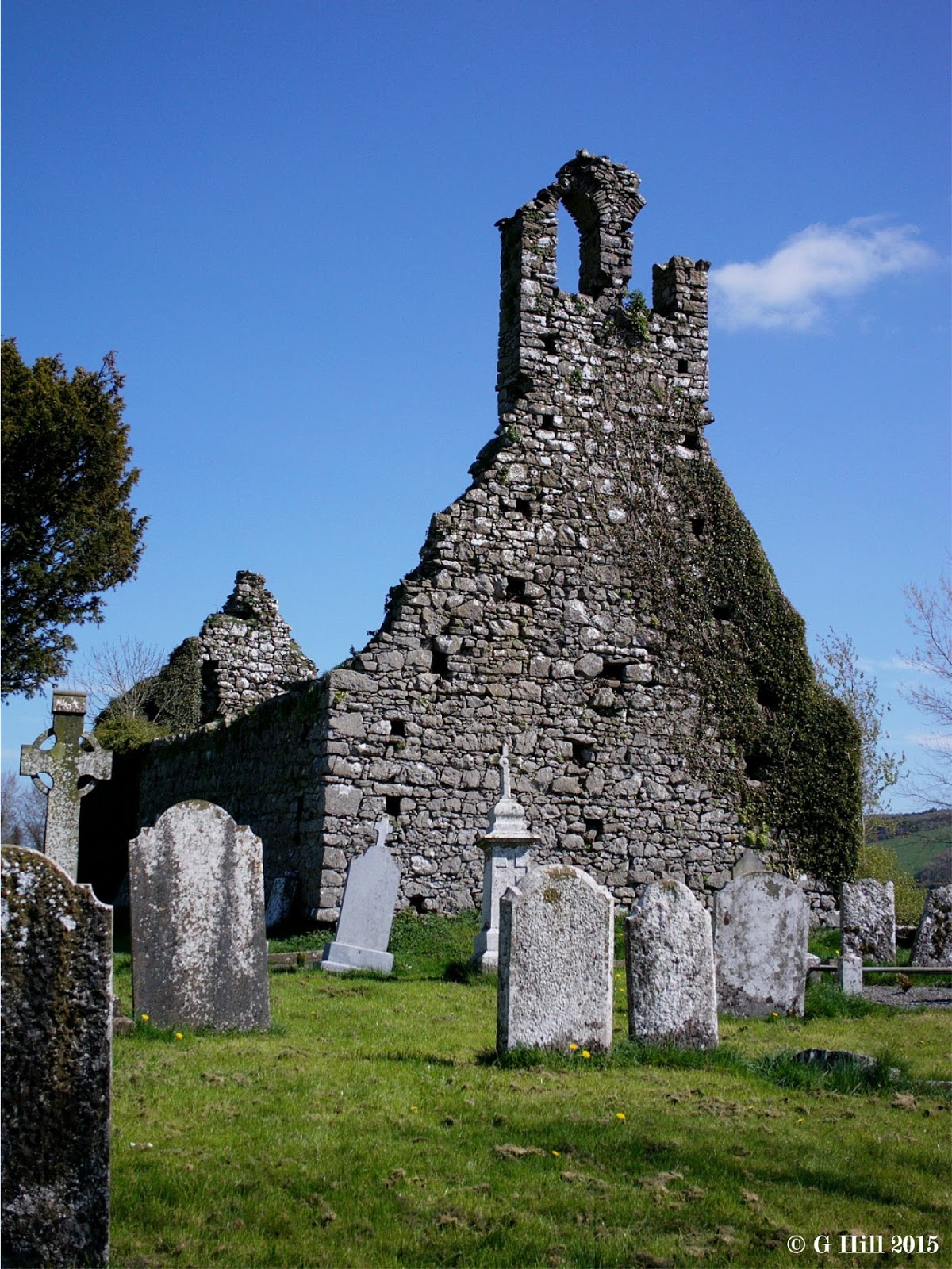 Ireland In Ruins: Old Clonmantagh Church Co Kilkenny