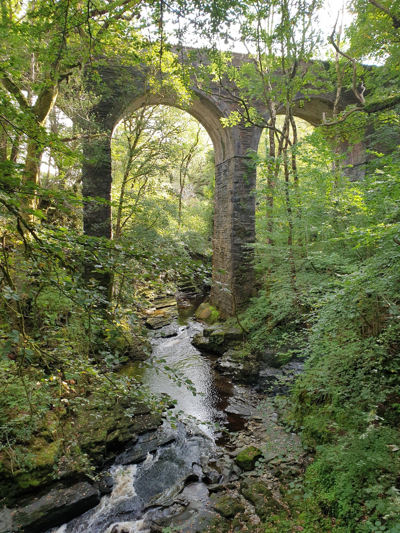 Postcard from Timperley: Tuesday 21 September 2021 - Ceunant Cynfal and ...