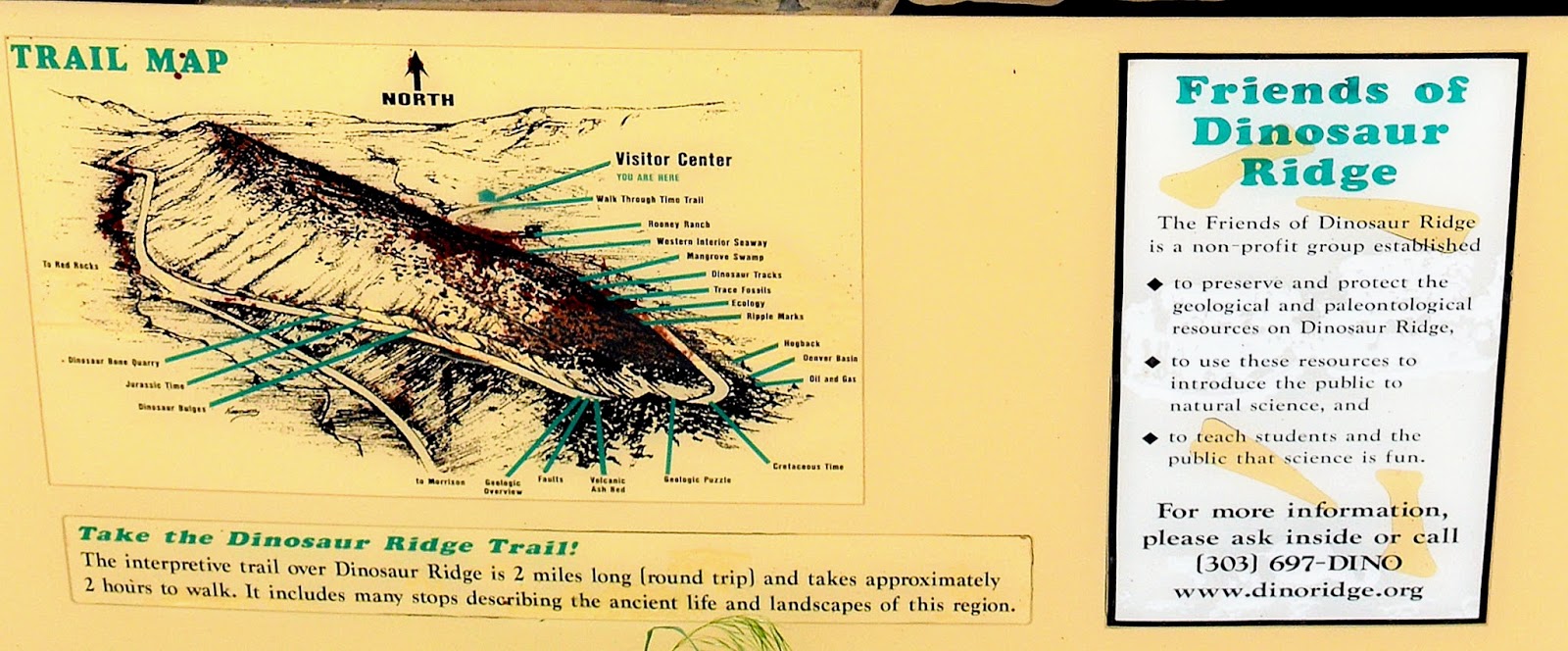 Mille Fiori Favoriti: Dinosaur Ridge Geologist Tour