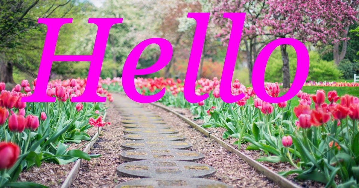 Top 10 Hello Images, Greetings, Pictures for whatsapp Facebook - Good ...