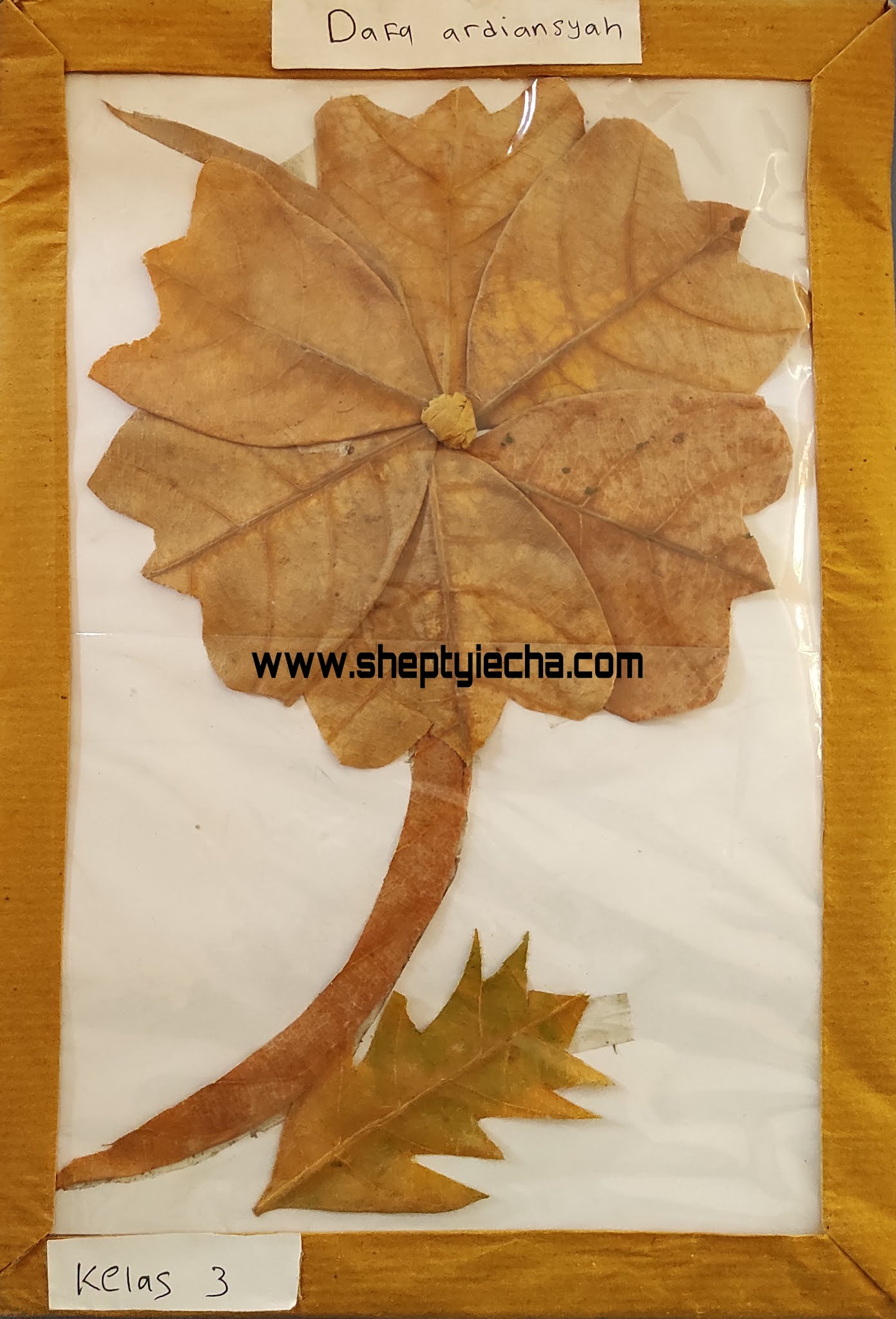 10 KREASI KOLASE TUMBUHAN (BUNGA) DARI DAUN KERING UNTUK ANAK SD ...