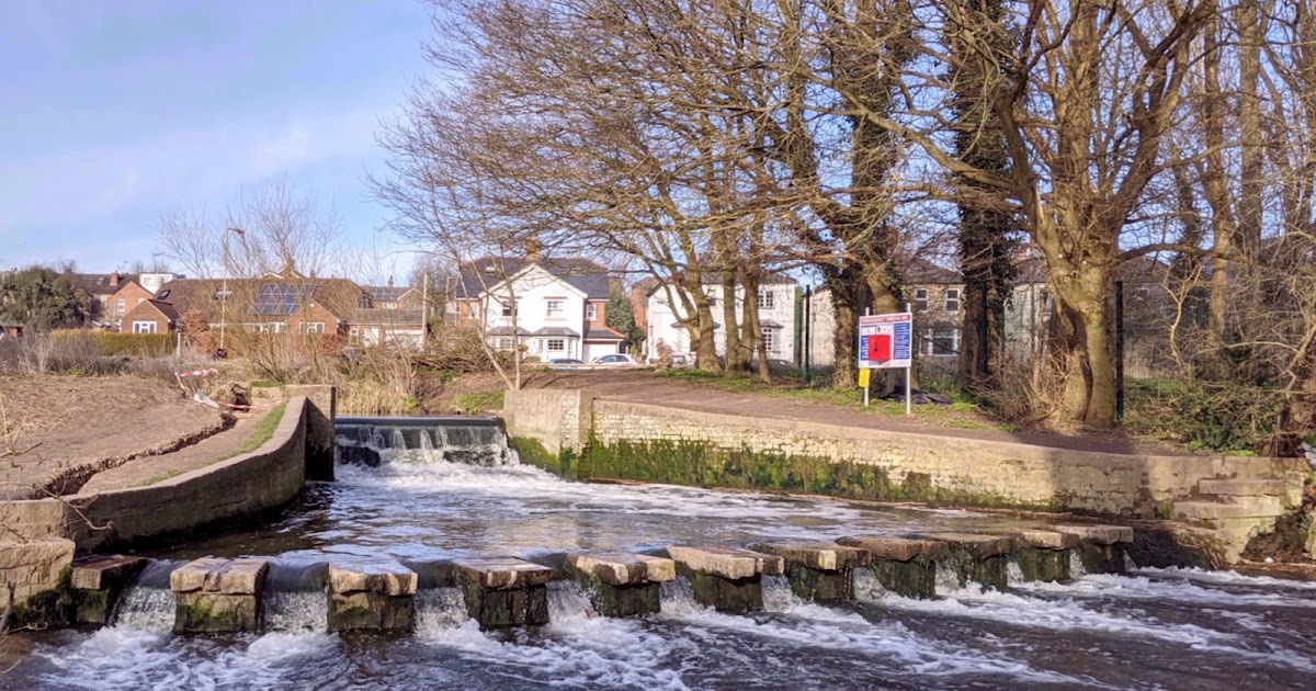 小叢林探險之旅 @Batford Springs 自然保護區 + 好玩河畔樂園