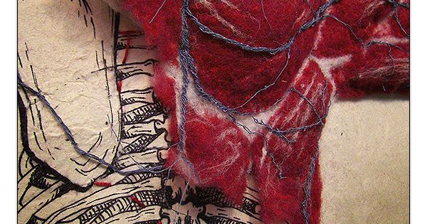 Dan Beckemeyer - Systems, el cuerpo como nunca lo habías visto - Nomada Q