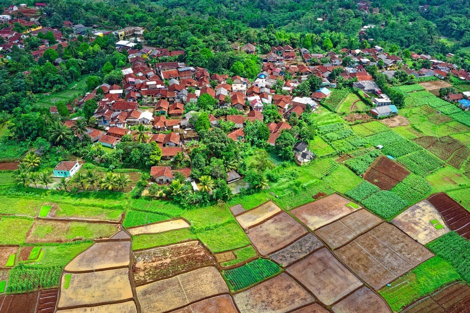 My Village Essay Essay On My Village For Students And Children my-village-essay-essay-on-my-village-for-students-and-children