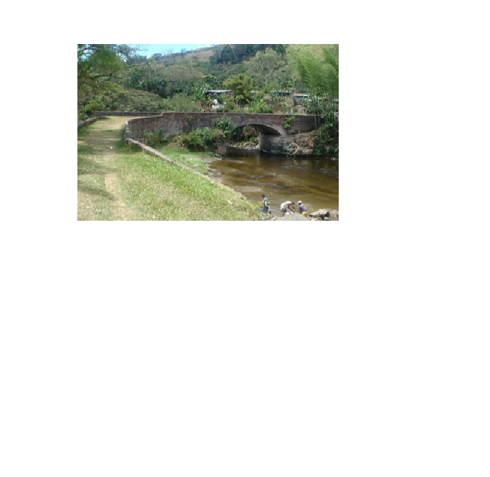 DIA DEL CAMPESINO PIENDAMO - CAUCA