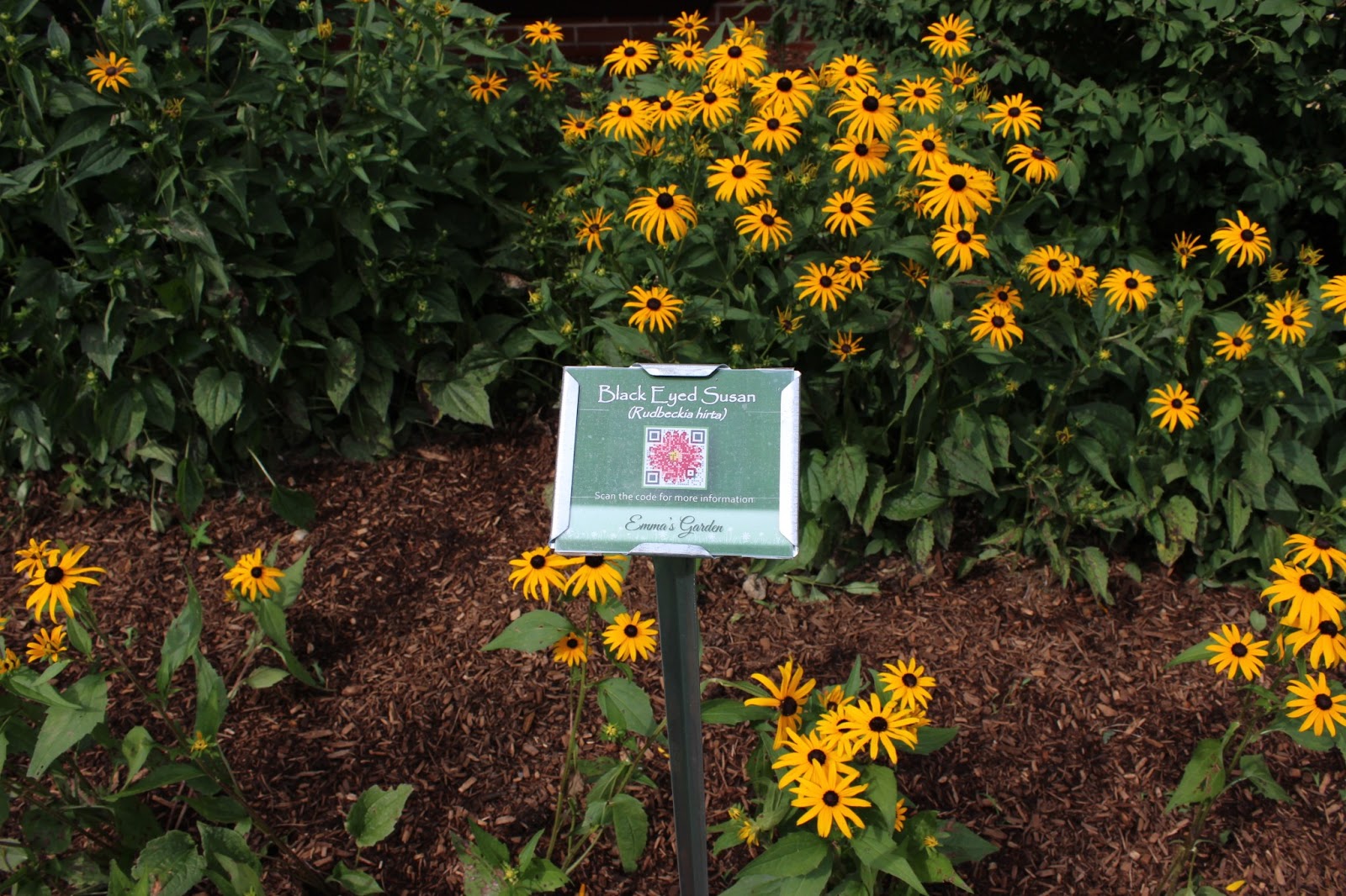 Explore Emma's Garden | Three Village, NY Patch