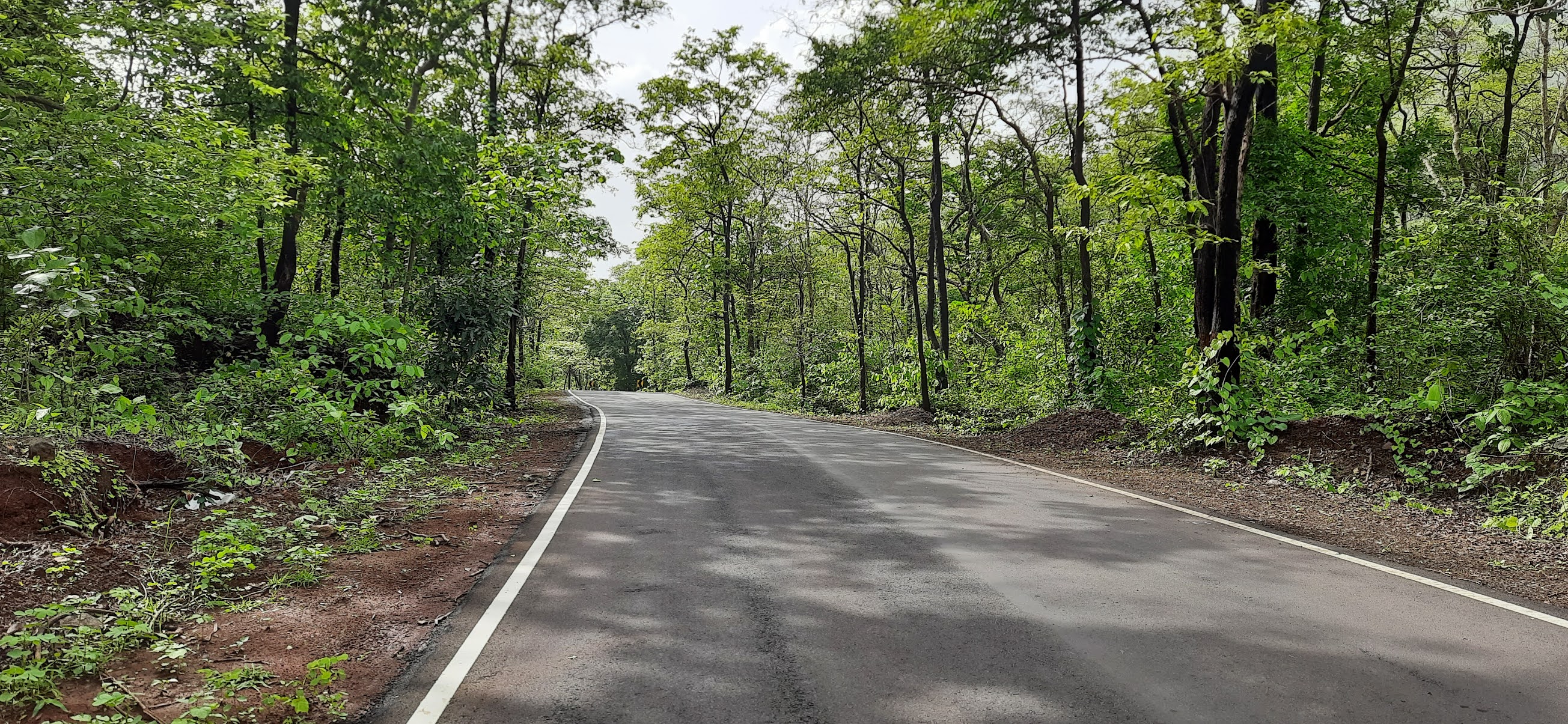 Sharad Pandhare's Educational Blog: Incredible Nature