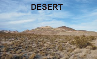 Dynamic: DESERt