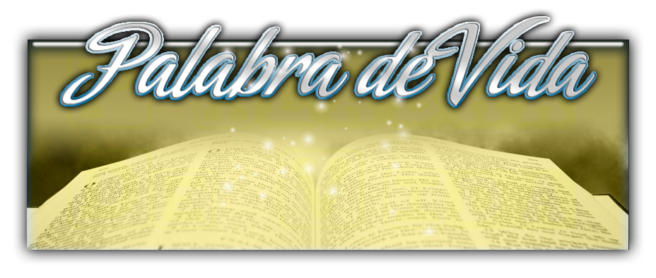 PALABRA DE VIDA: Predicas ENERO 2013