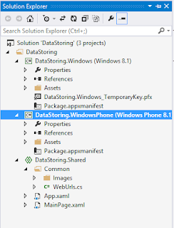 And now solution explorer should be like this: