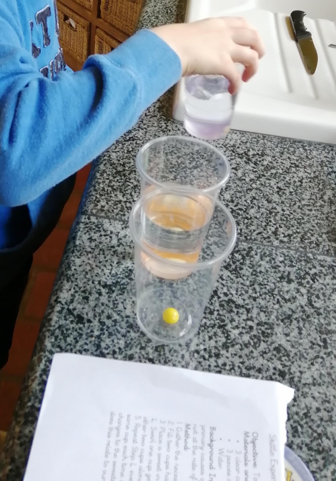 Skittles Erosion Experiment