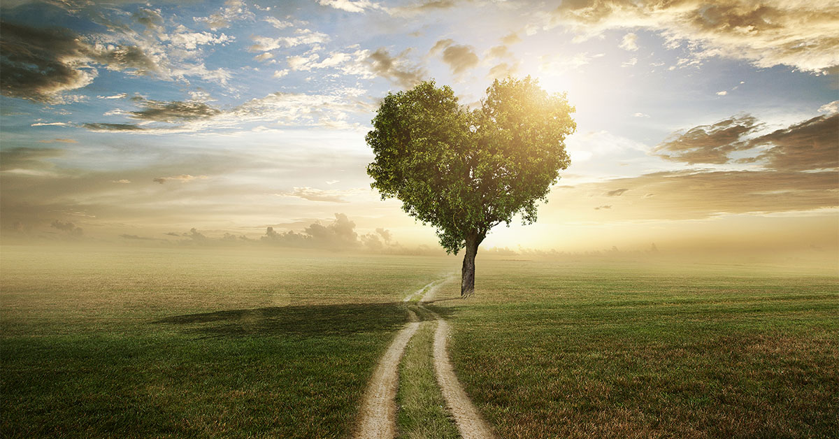 Pure Experiences: The Path of the Heart