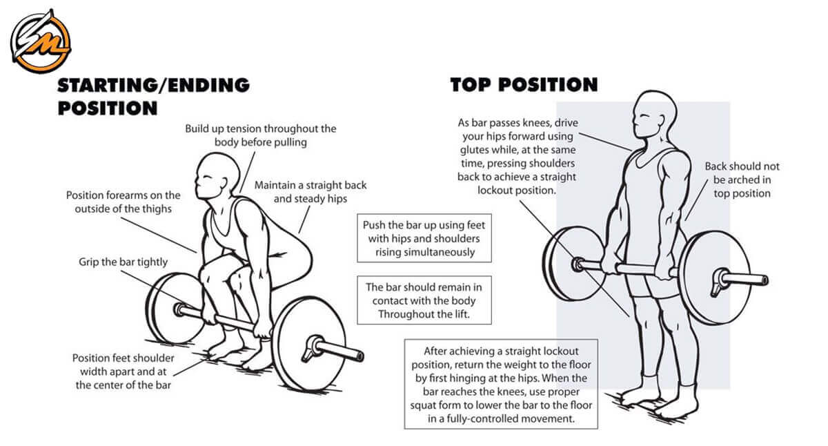 7 Different Variations to Master The Deadlift