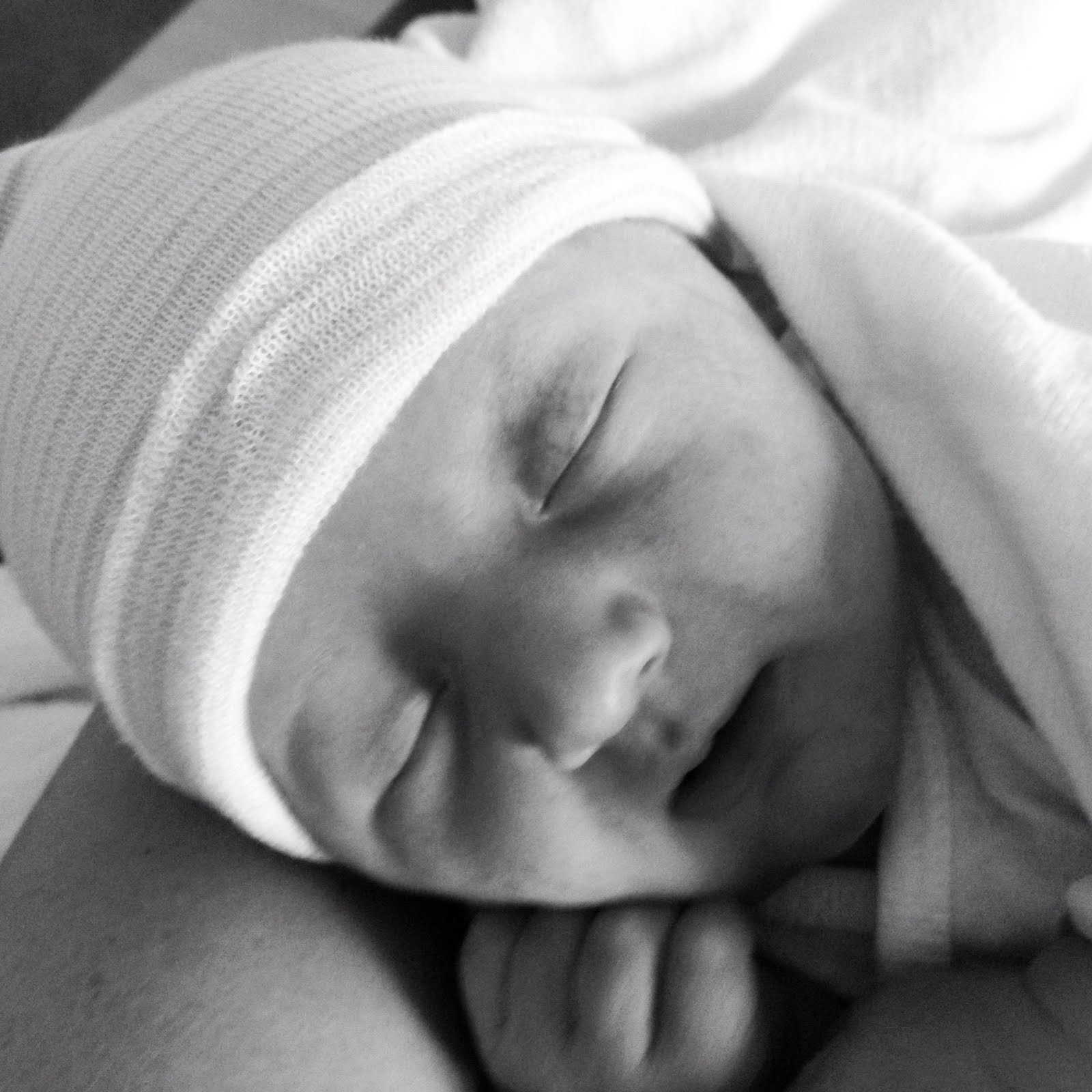 The Zito Family: Andrew "Drew" Scott Zito