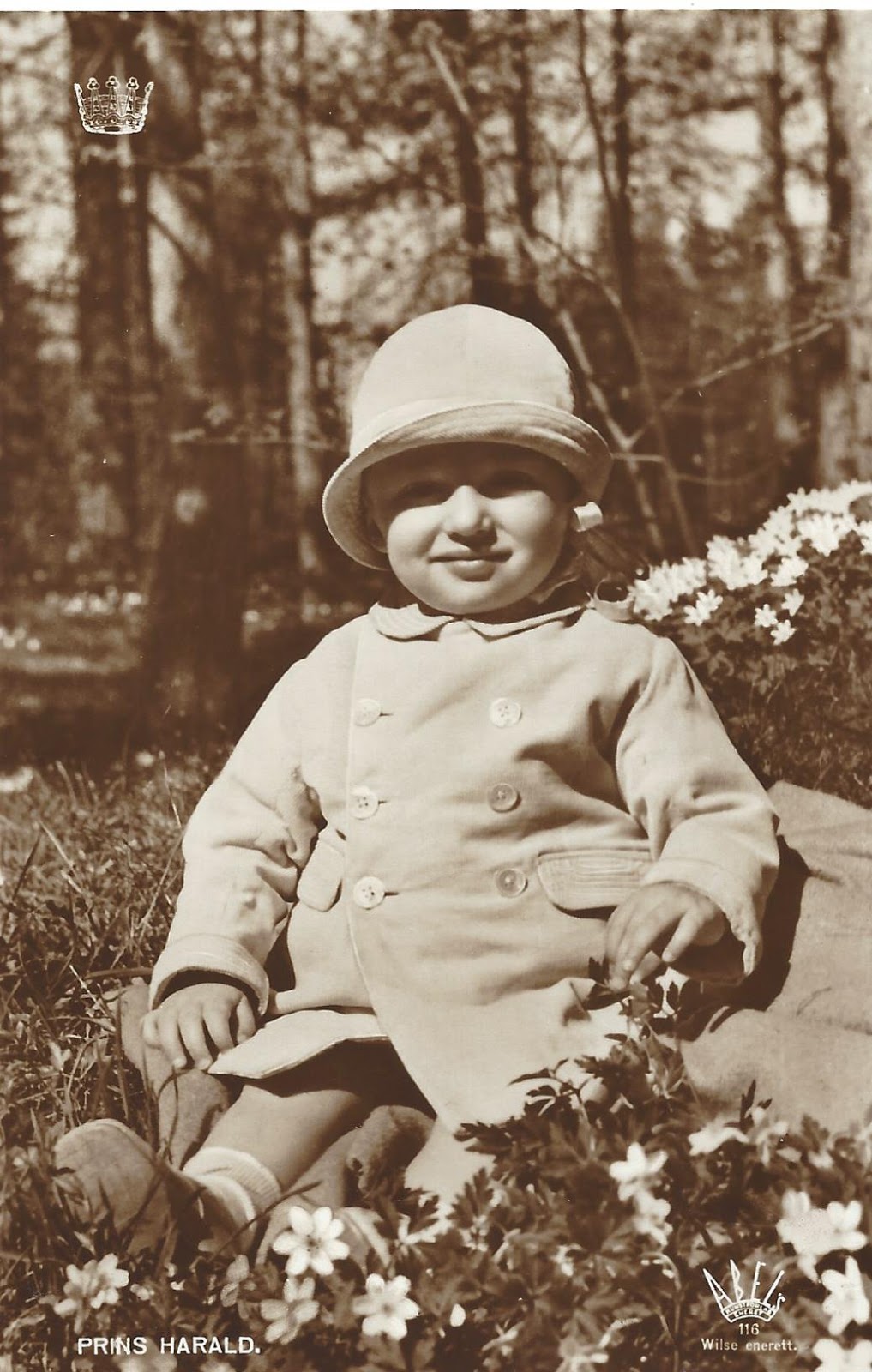 Royal Musings: King Harald V celebrates his 80th Birthday