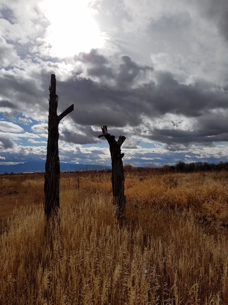 Ajijaakwe: Red Willow Spirit: A Flowering of Shadow and Light