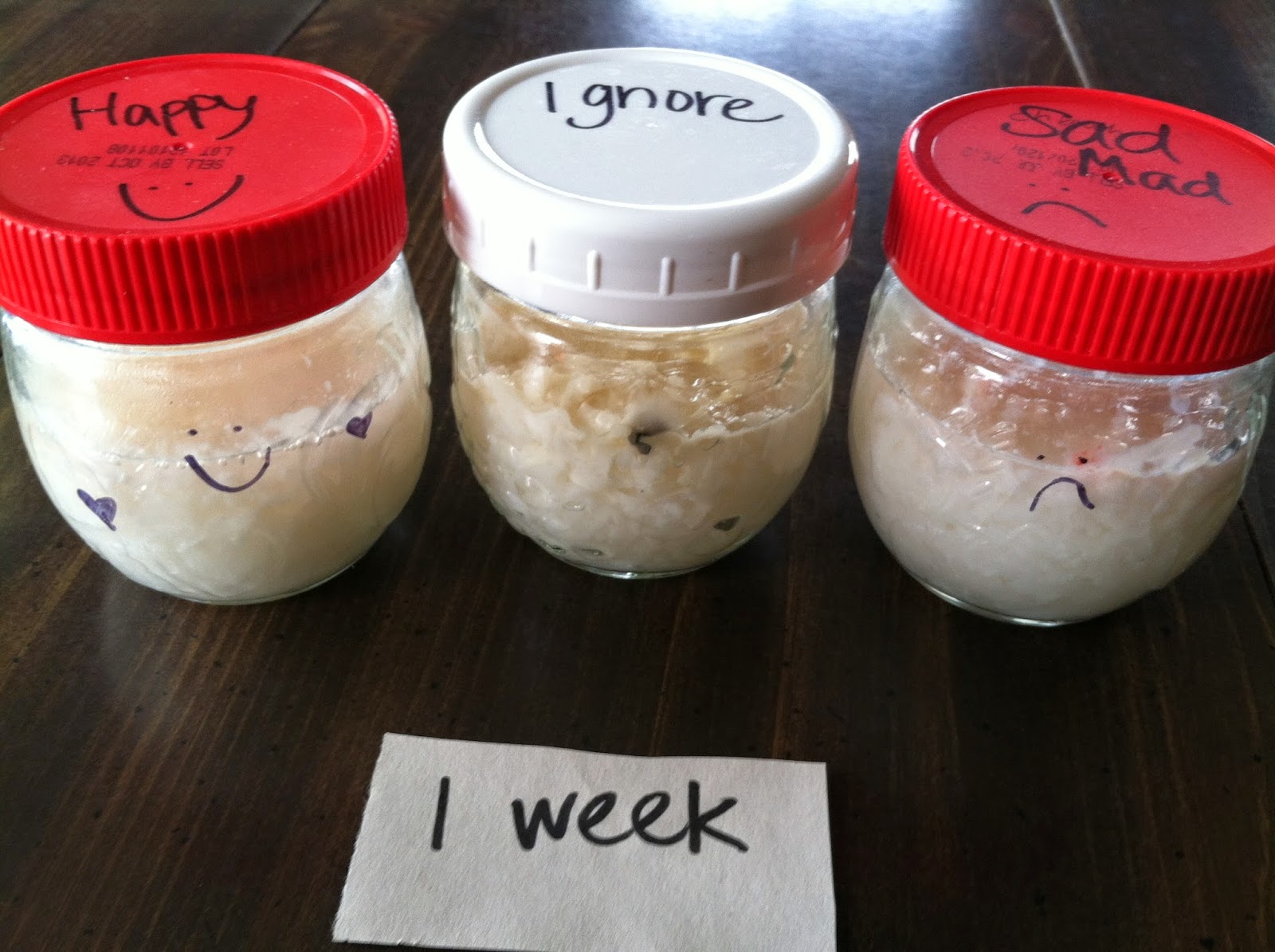 Raising the Rising Generation: rice experiment - words and thoughts ...