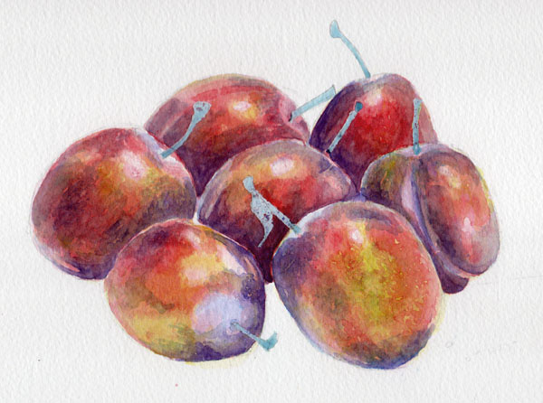 Stoneflower: Seven Plums - watercolour demonstration