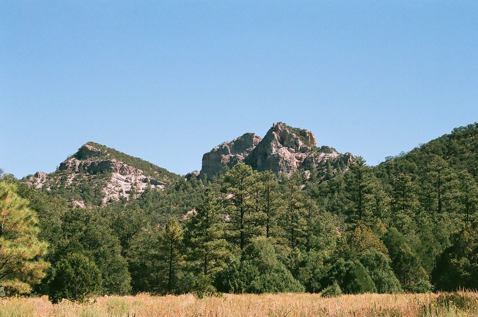 Southern New Mexico Explorer: Datil Mountains - Cibola National Forest