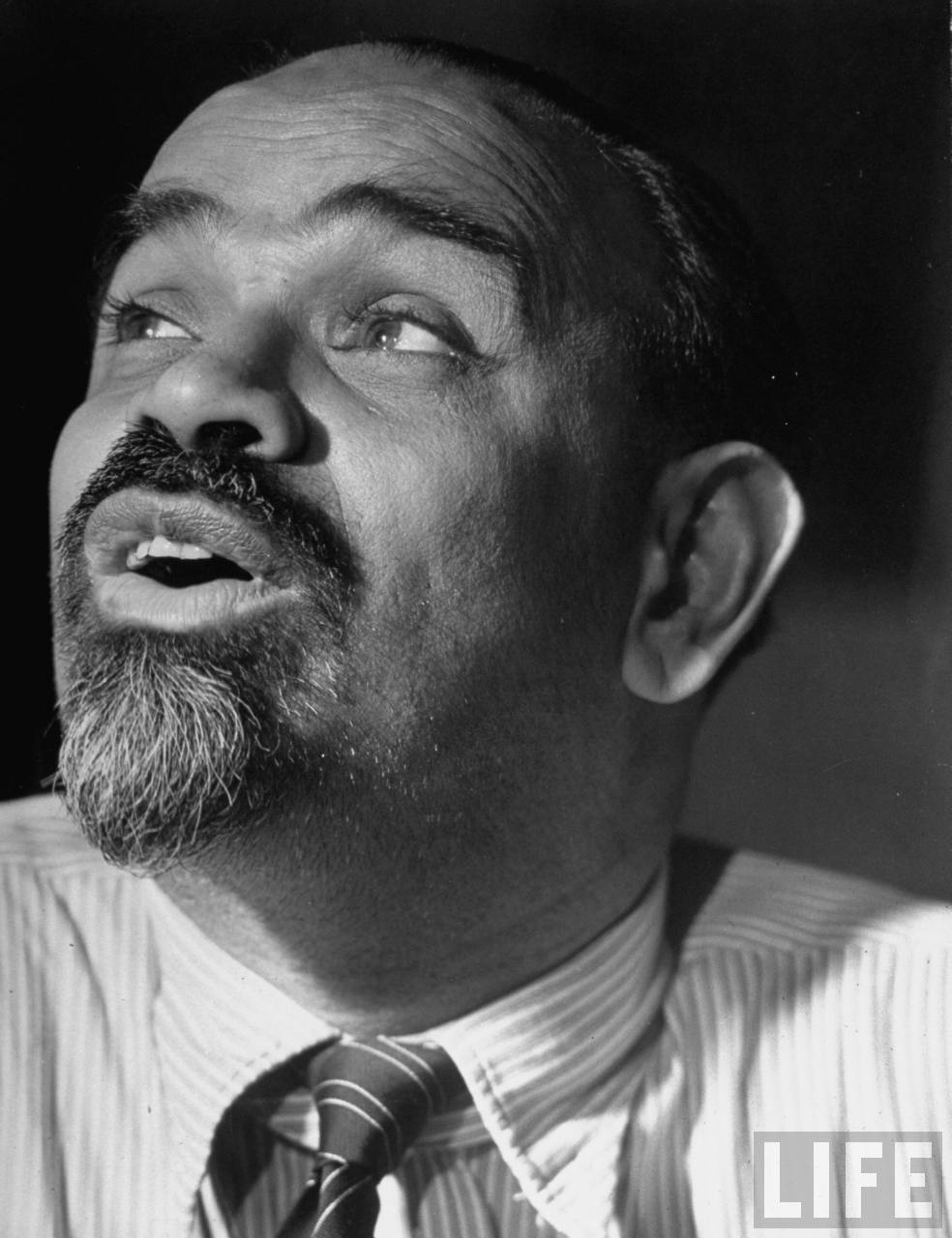 Portrait of K. M. Pannikar - 1946 - Old Indian Photos