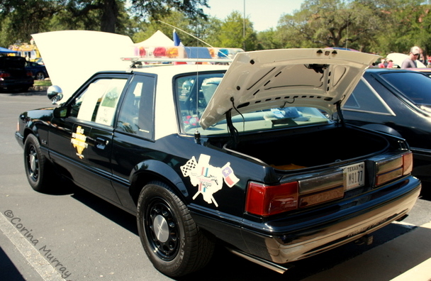 Mustang-Alley: Austin Round Up 2011