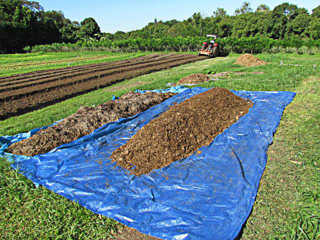 Compostagem - Como Fazer e Aplicar Composto Orgânico