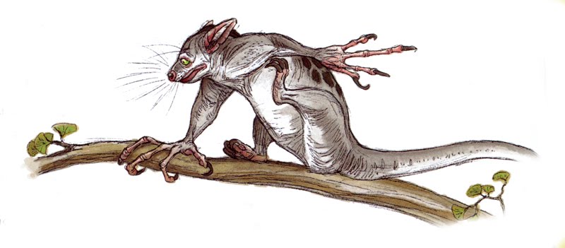 Furahan Biology and Allied Matters: Wildlife in the Star Wars universe