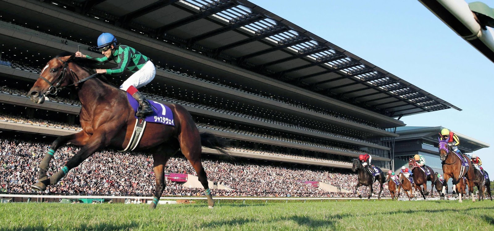 달려라 경마: Japanese horse racing /// Скачки в Японии /// سباق الخيل في ...