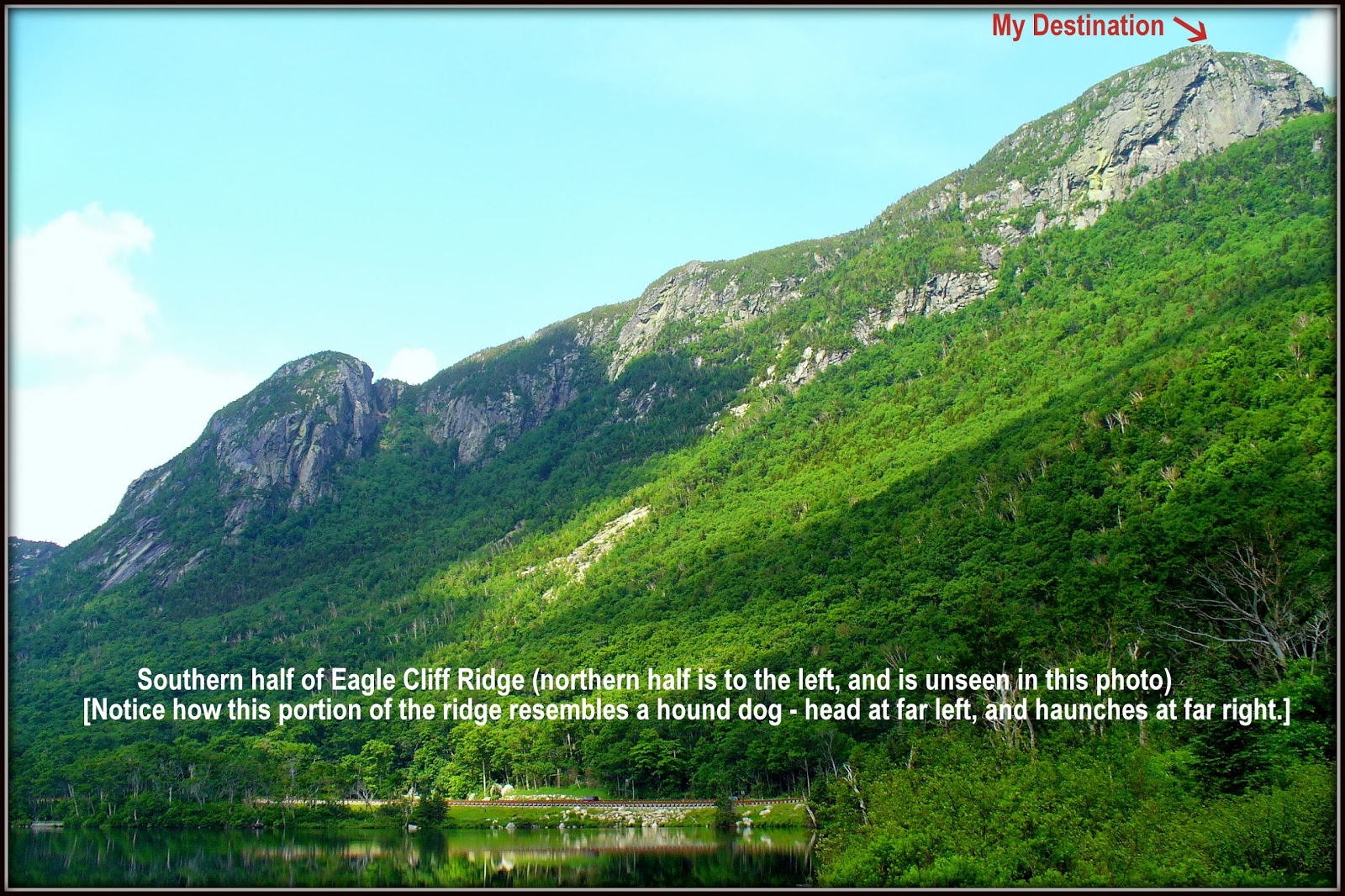 1HappyHiker: A Trek to South End of Eagle Cliff Ridge in Franconia Notch