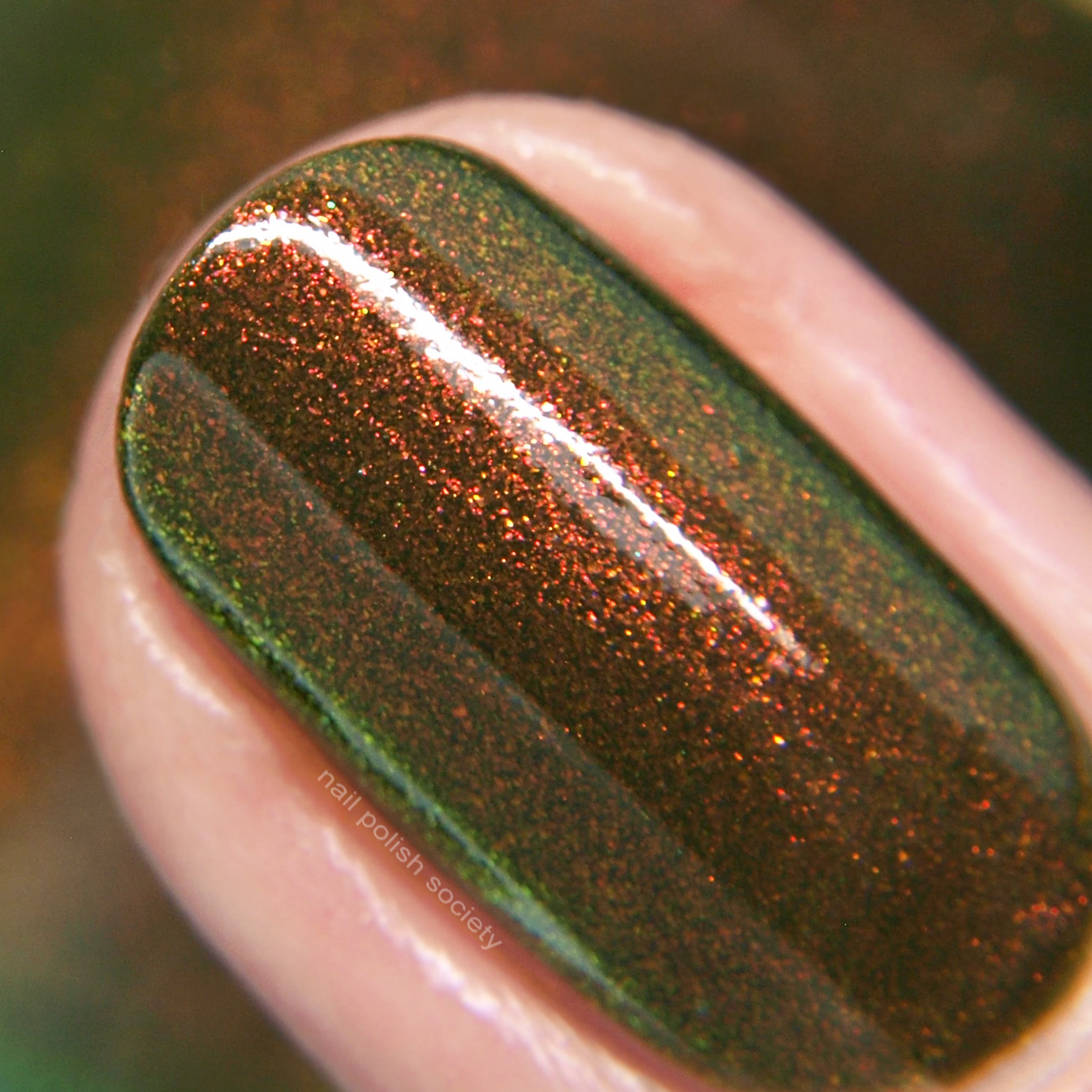 Nail Polish Society: KBShimmer Up & Autumn Collection Fall 2019