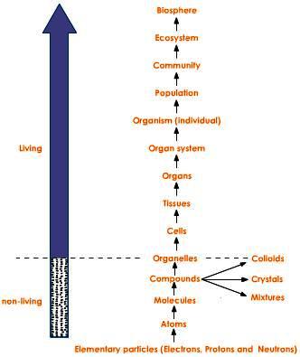 Global Dynamics Processes: the Pattern which Connects from KaliYuga to ...