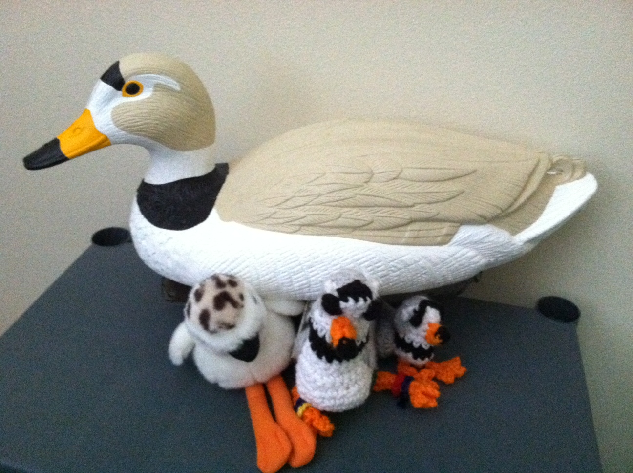 The Migratory Life: The Rare, Endangered Piping Duck