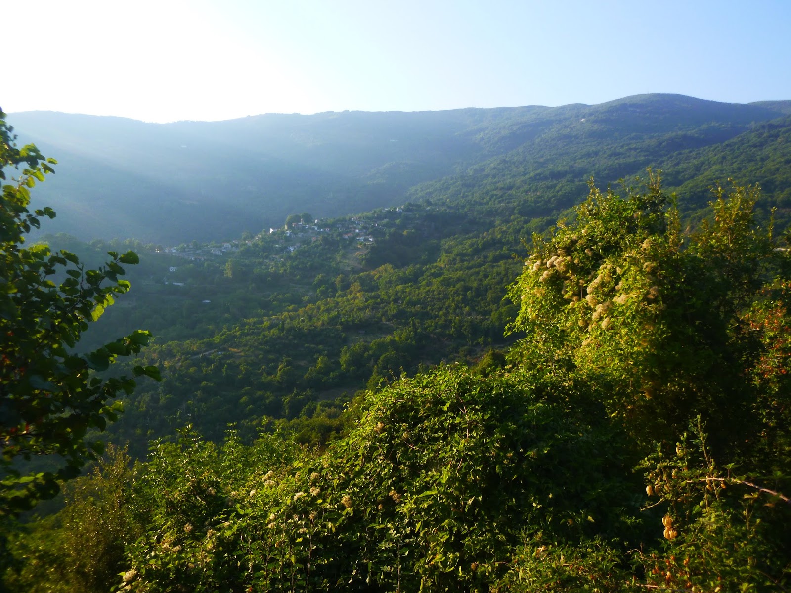 Walking in Pelion: Drakia-Agios Lavrentios